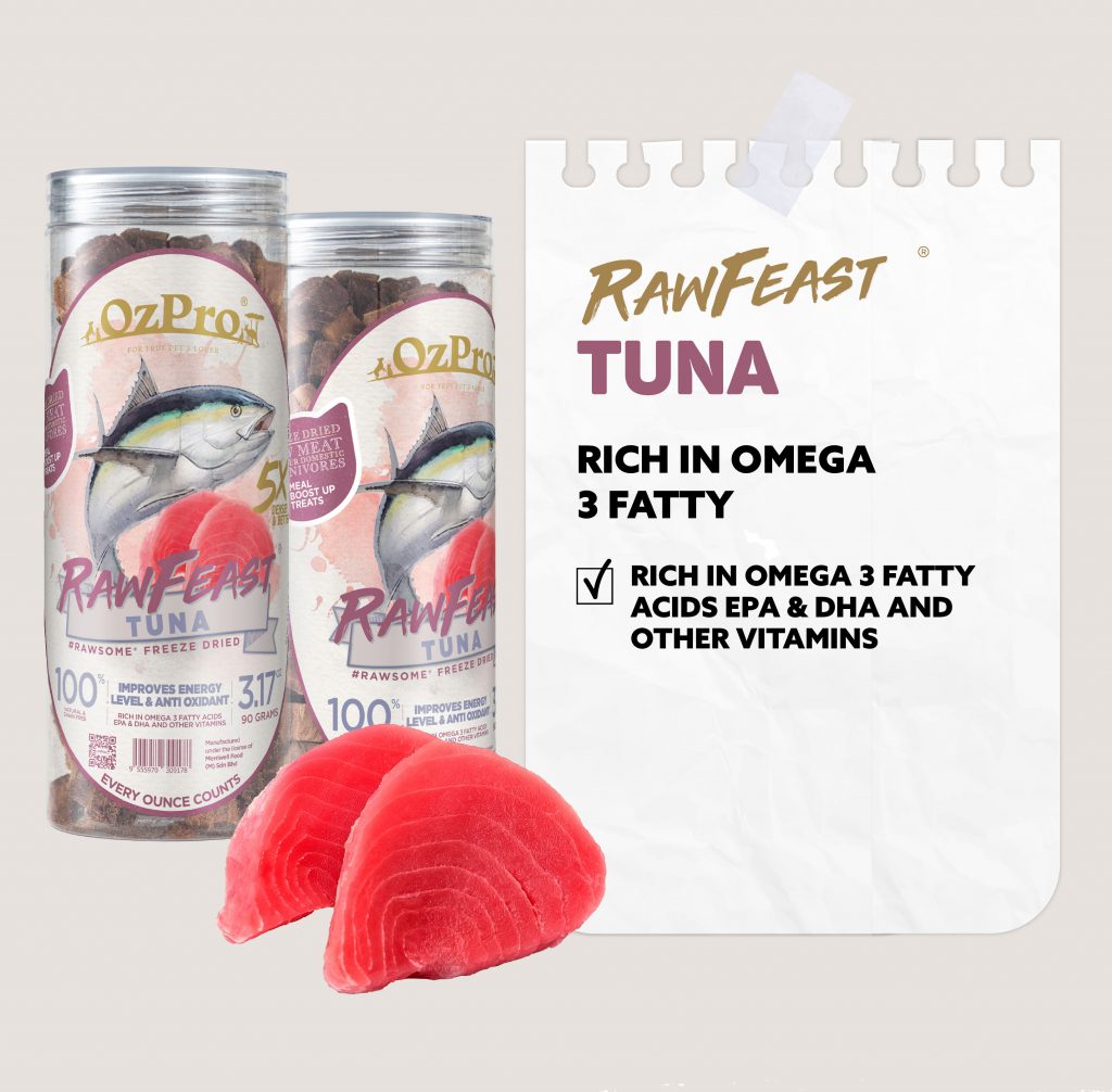 RawFeast Functional Bundle – Holistic Chicken Salmon & Cod Fish (100g ...