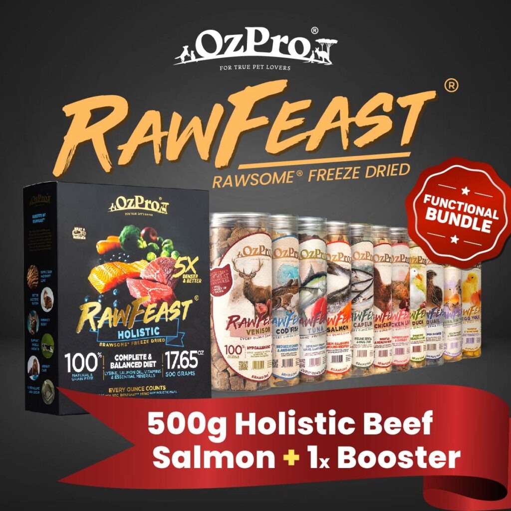 RawFeast Functional Bundle – Holistic Beef Salmon (500g) + 1 Booster ...